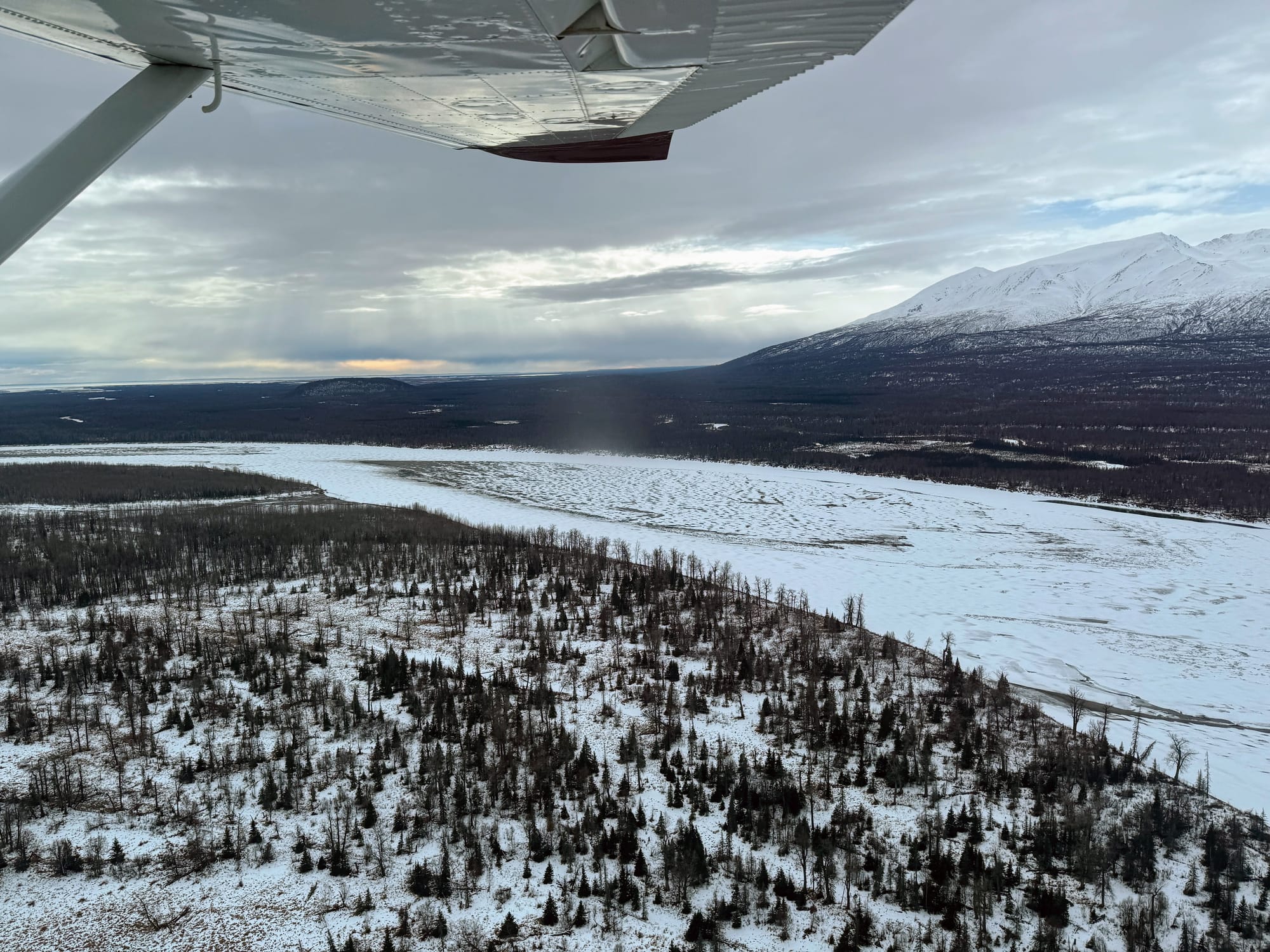 Mat-Su Sentinel | Mat-Su Valley Alaska News